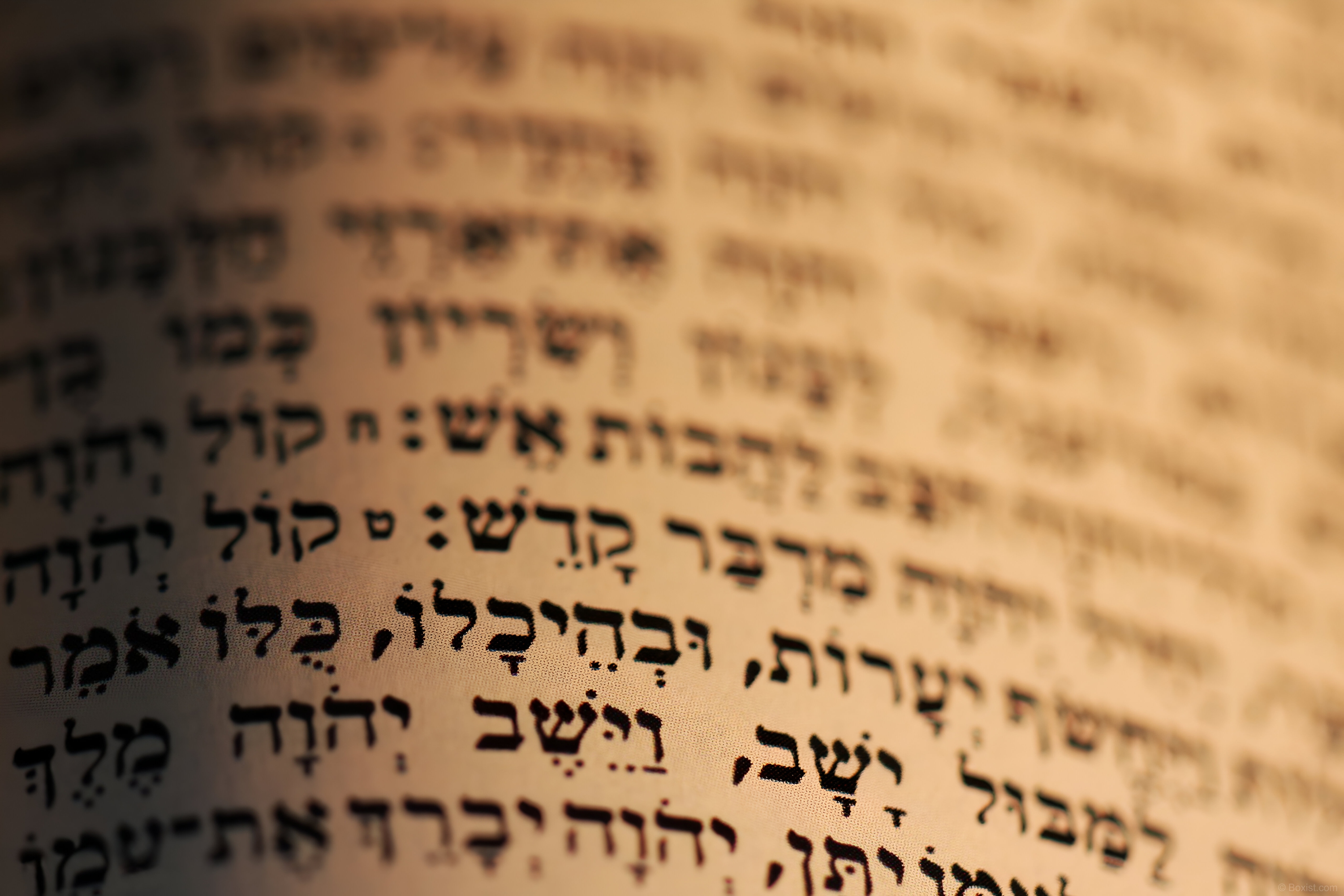 Hebrew Torah Page / Stock Photo - Sam Mugraby's Photography Portfolio