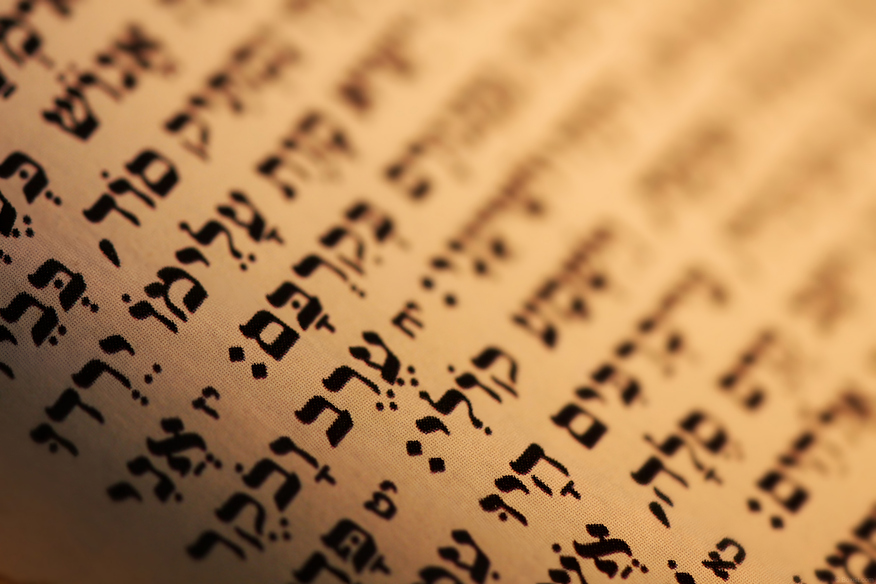 Page From The Torah / Stock Photo - Sam Mugraby's Photography Portfolio